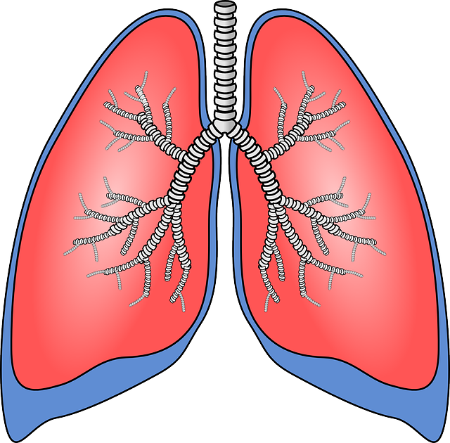 Respiratorische Azidose – Ursachen, Folgen und Therapie