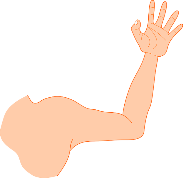 Muskelzucken im Oberarm – Ursachen und mögliche Erkrankungen